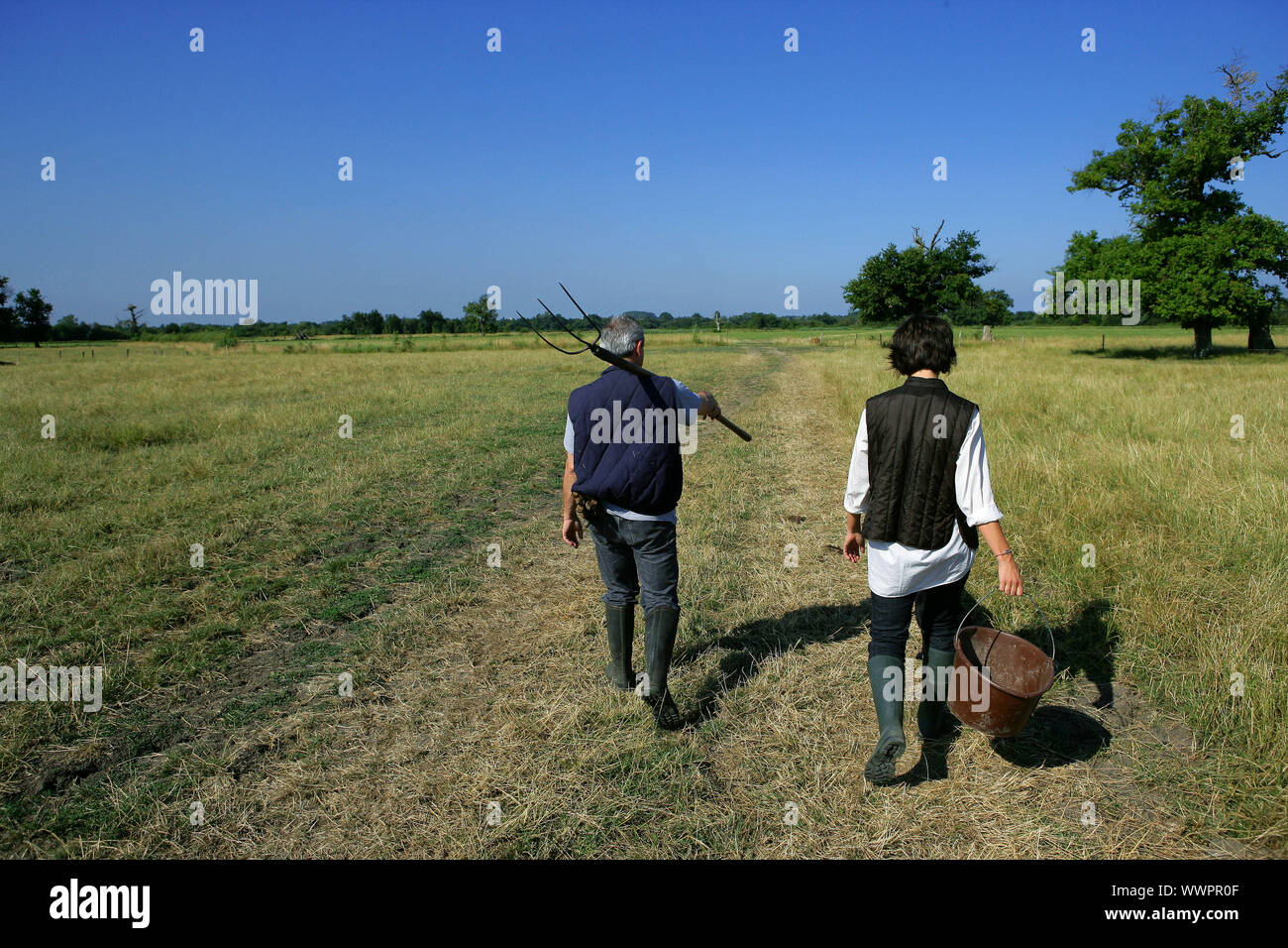 Farming couple in a field Stock Photo - Alamy