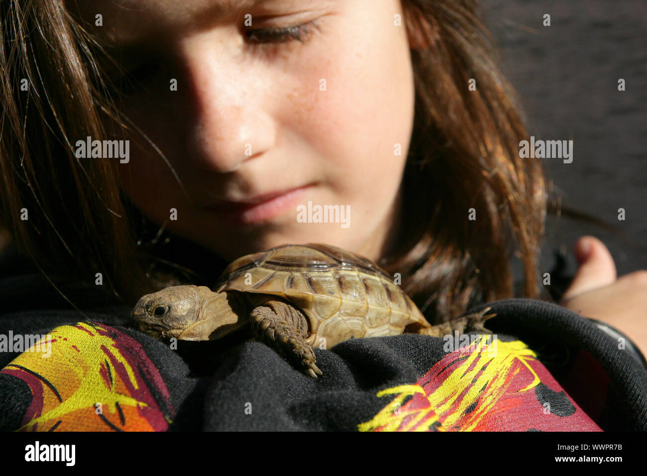 Girl holding turtle Stock Photo - Alamy
