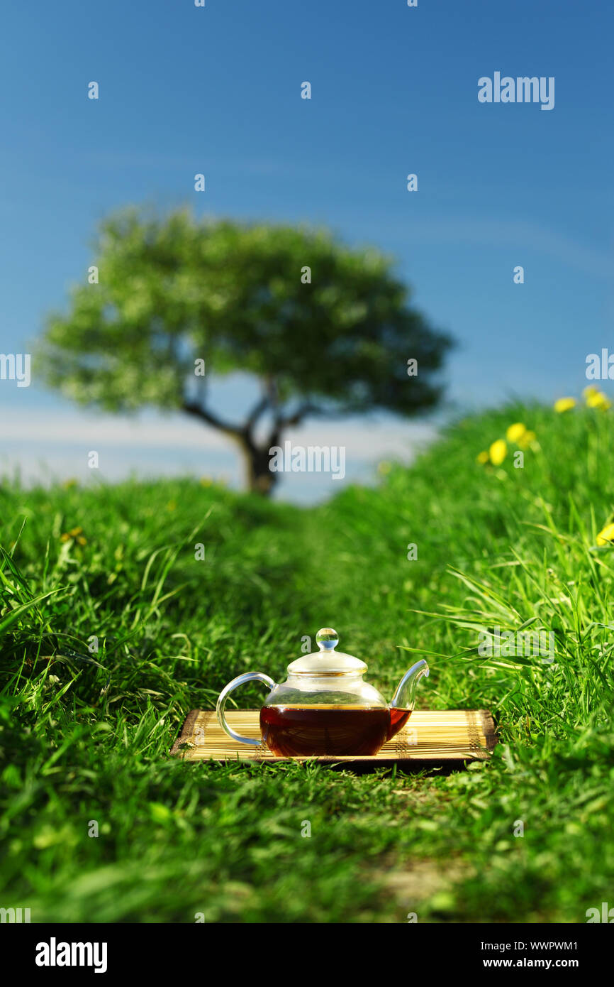 Natural tea in the pot Stock Photo - Alamy