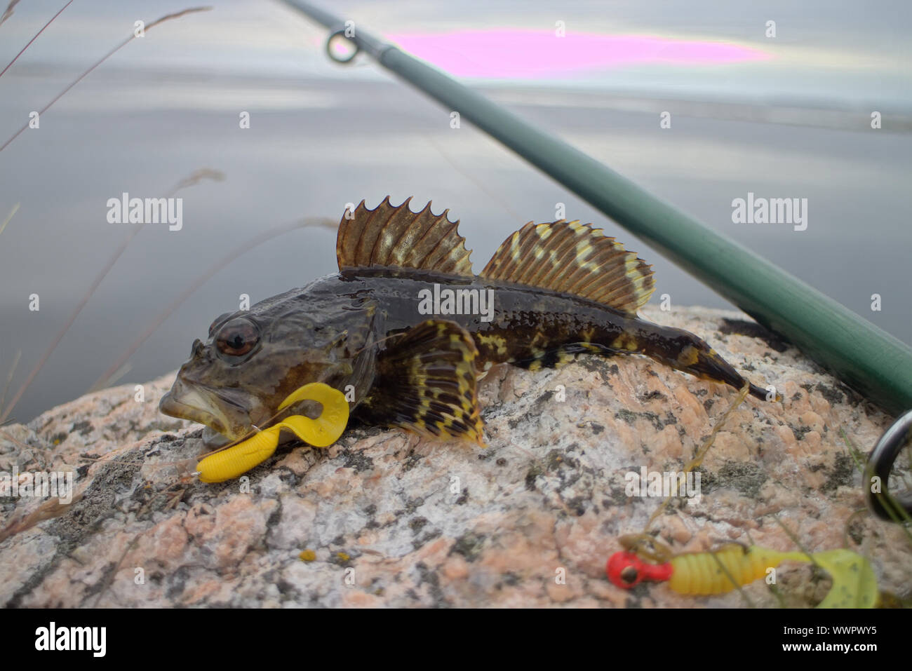 sea angling the Arctic circle Stock Photo - Alamy