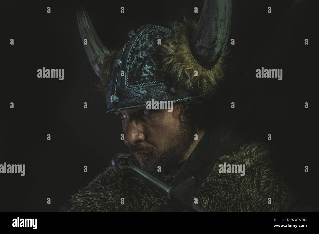 Costume, Viking warrior with a huge sword and helmet with horns Stock ...