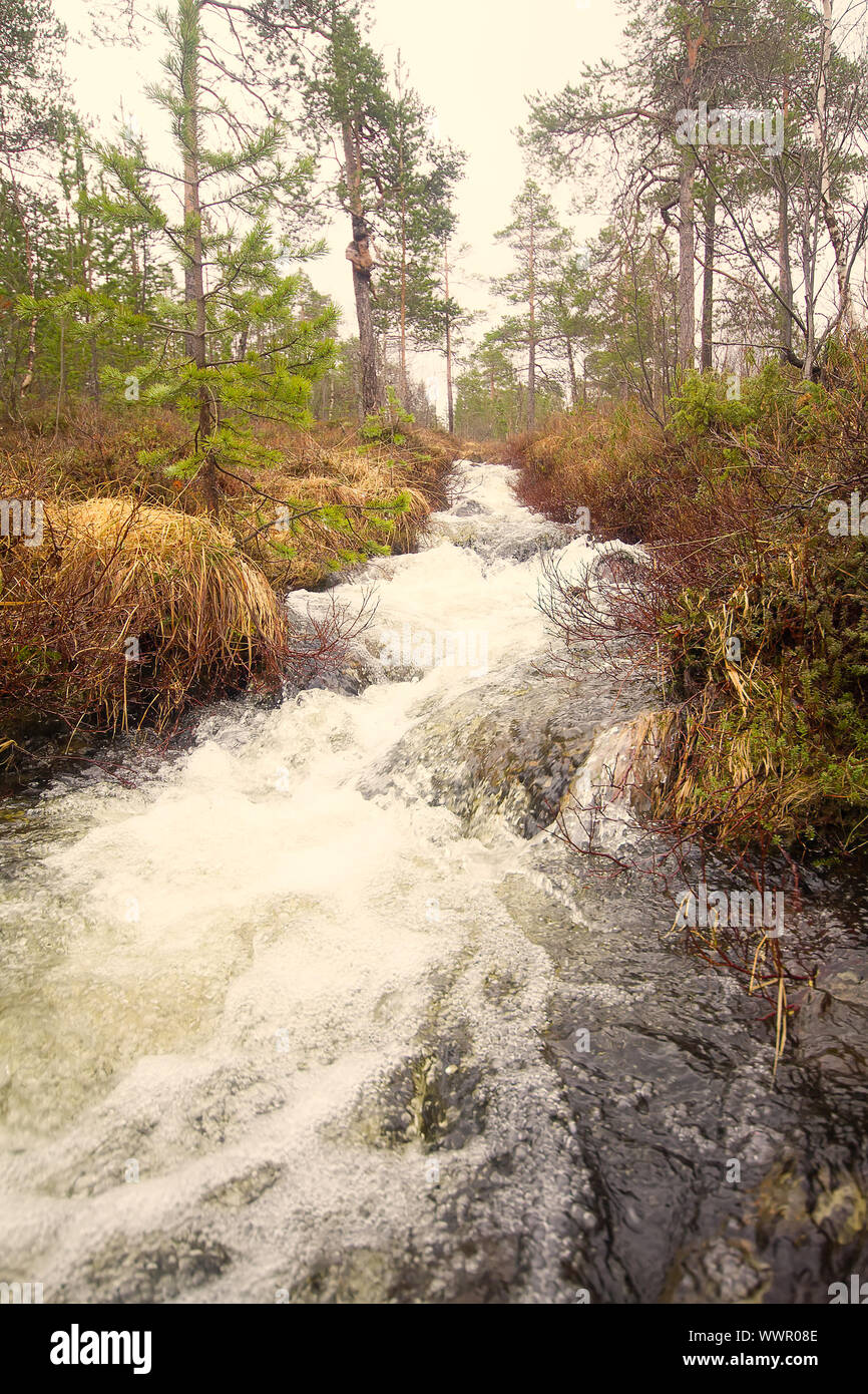 Through the wild hi-res stock photography and images - Alamy