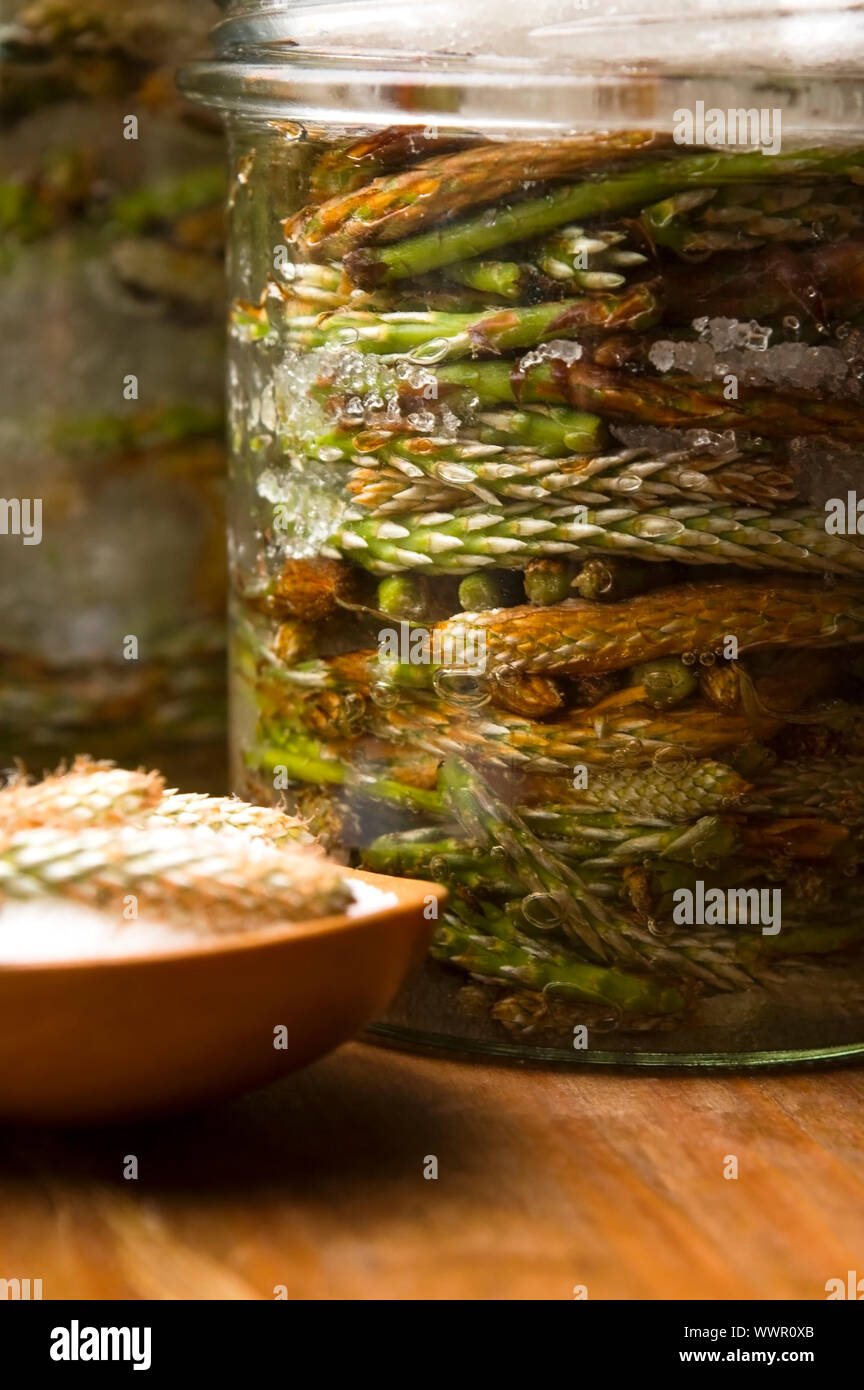 Natural medicine - syrup made of pine sprouts Stock Photo - Alamy