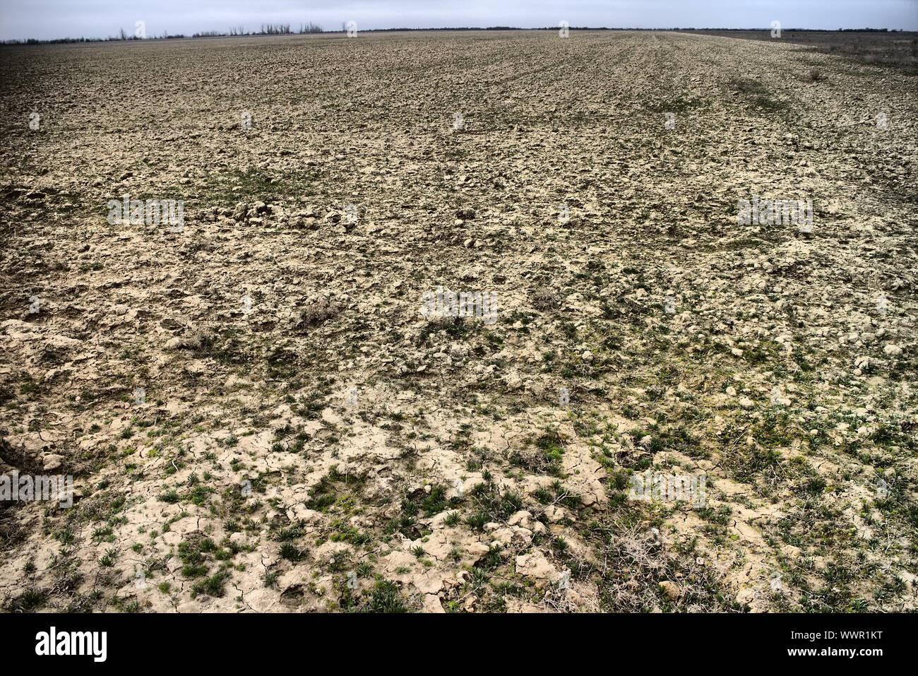 Salinization as result of unsustainable irrigation of soils in ...