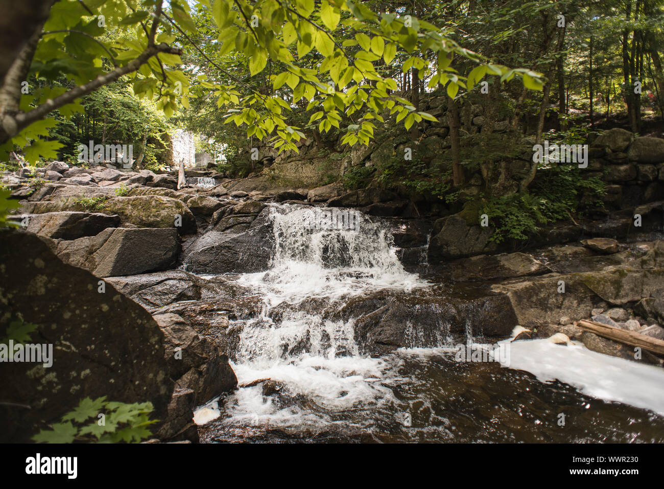 Waterfall flowing over rocks in a forest setting Stock Photo - Alamy