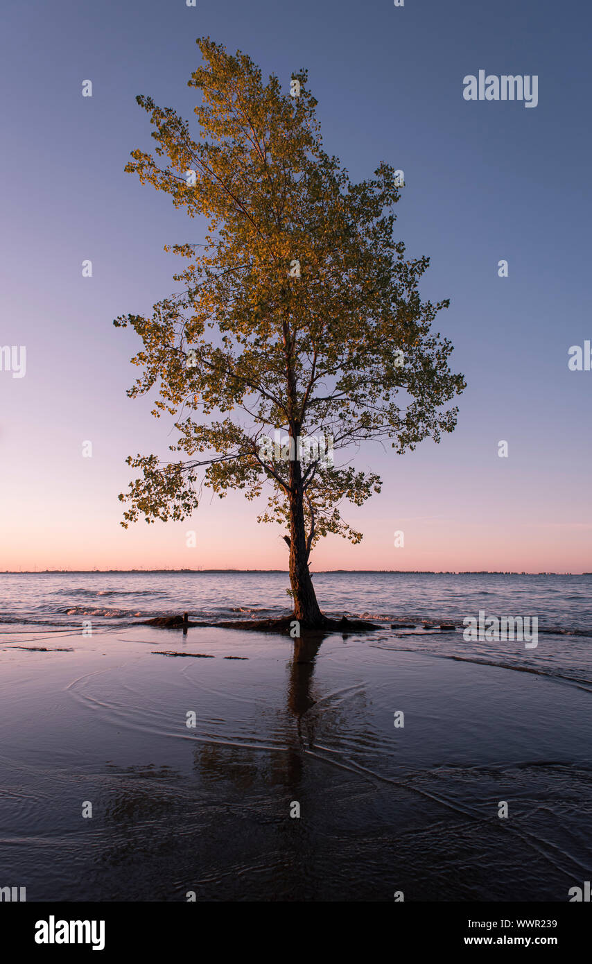 Ontario nature hi-res stock photography and images - Alamy