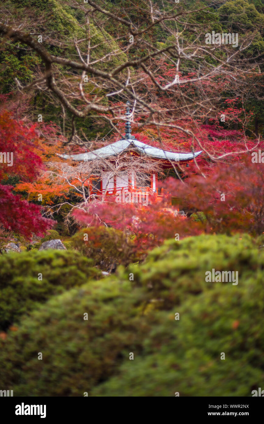 Daigoji temple hi-res stock photography and images - Alamy
