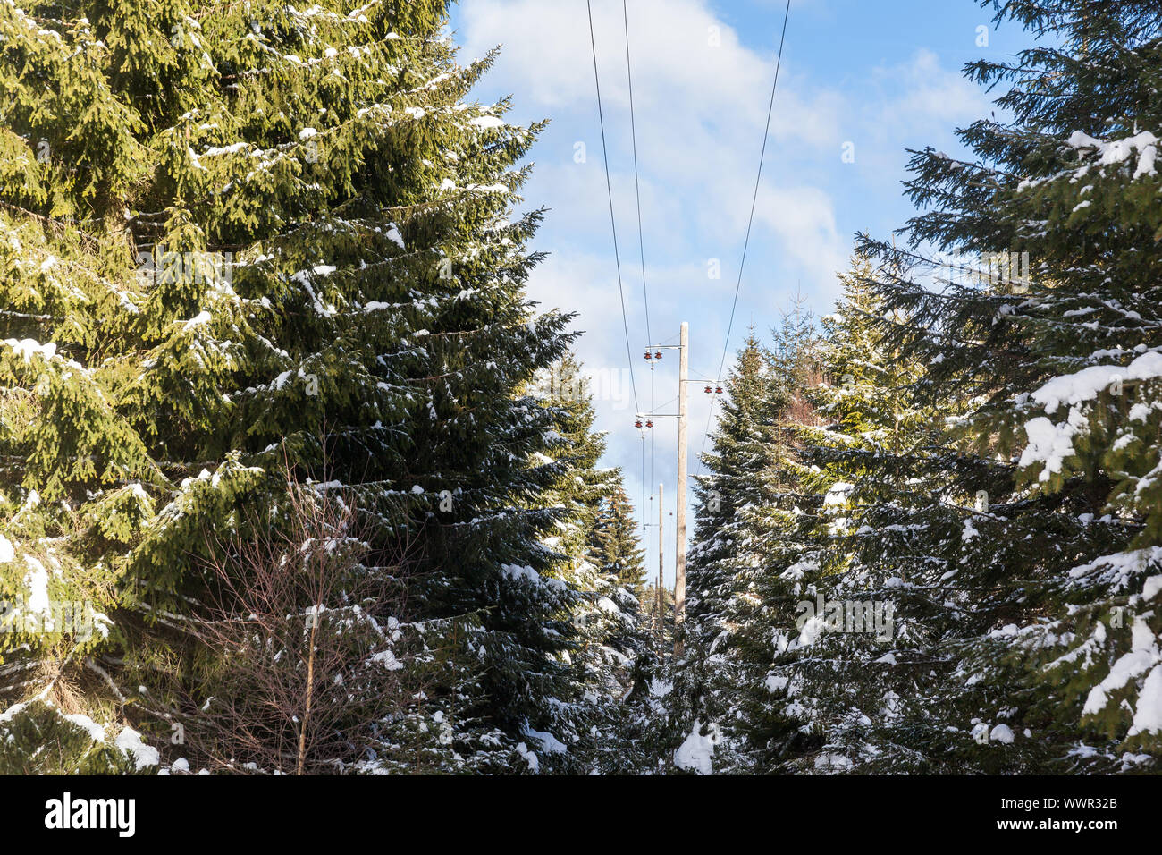 Medium voltage overhead line Route Stock Photo - Alamy
