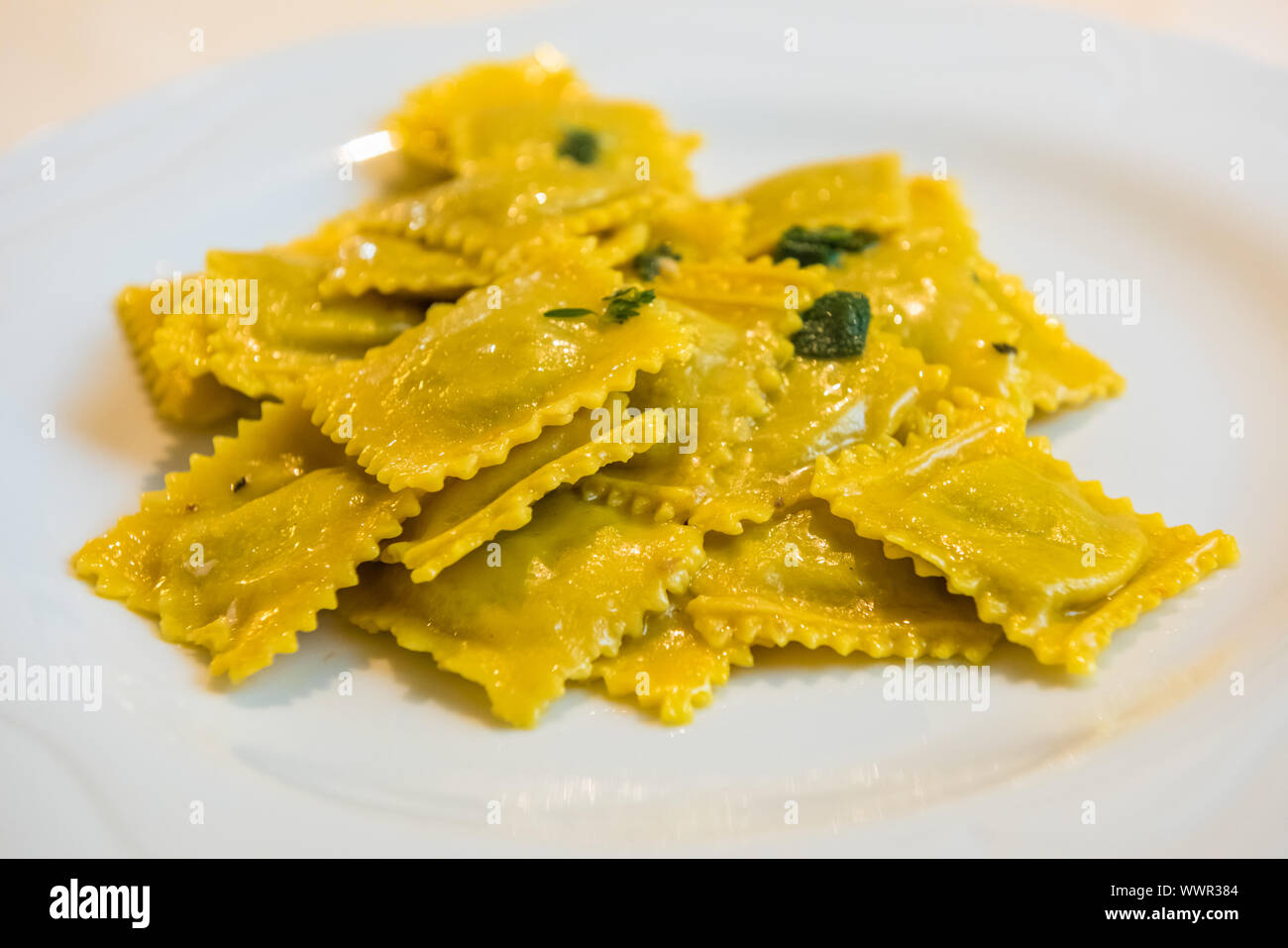 Handmade agnolotti, type of ravioli, typical Italian egg pasta from ...
