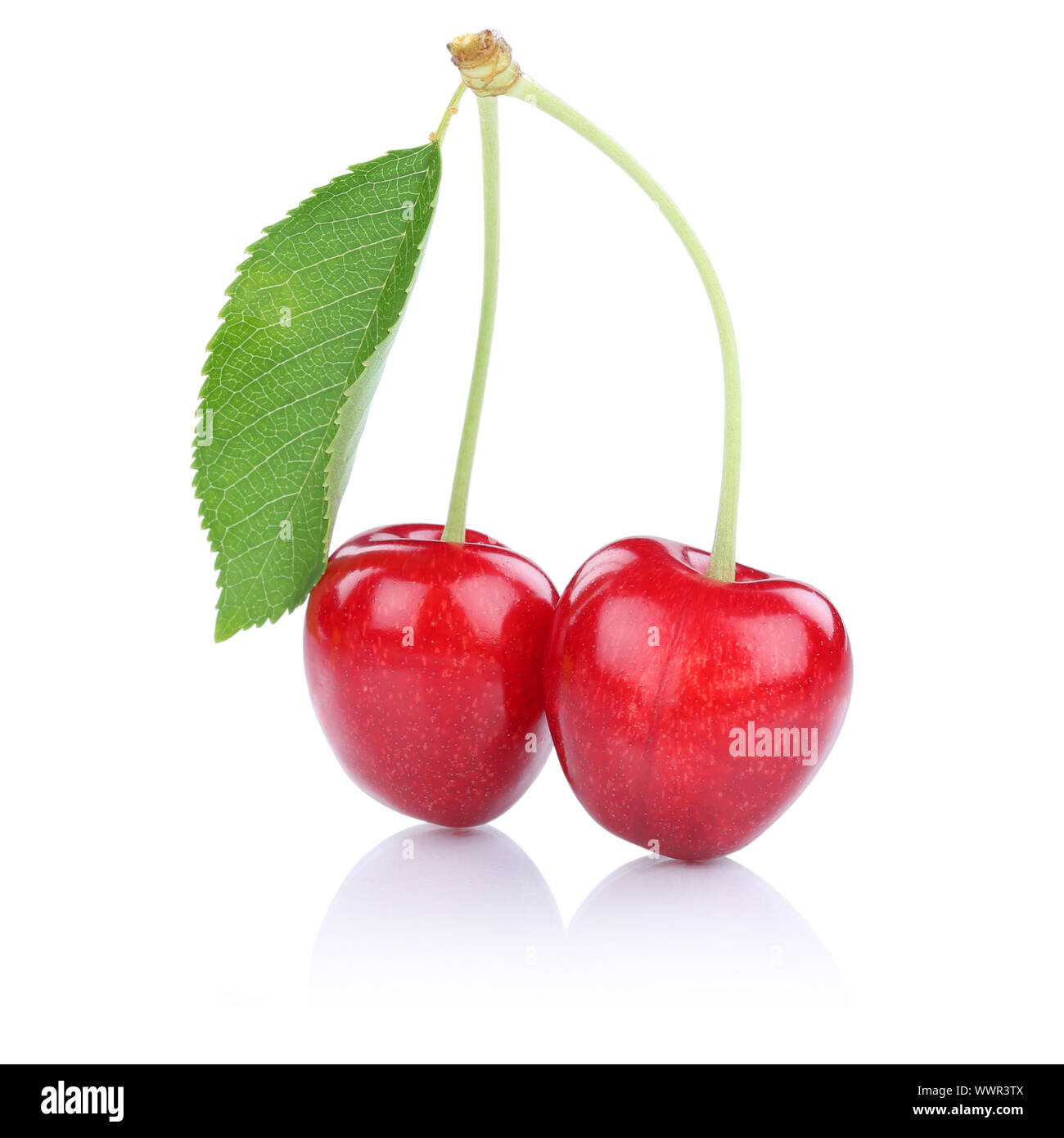 Cherry Cherry free isolated isolated Stock Photo - Alamy