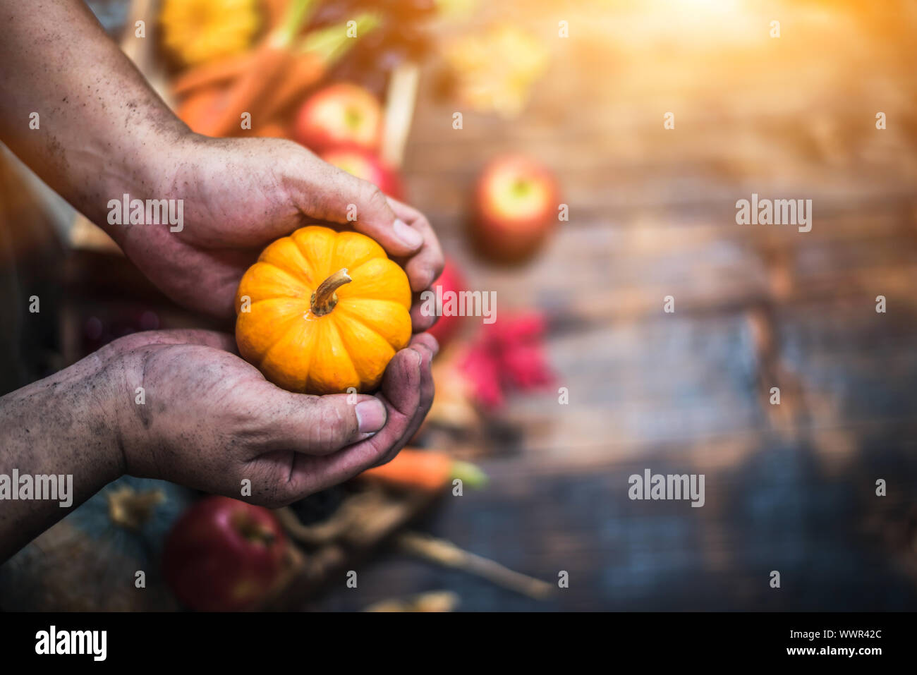 Fall harvest cornucopia. Autumn season with fruit and vegetable ...