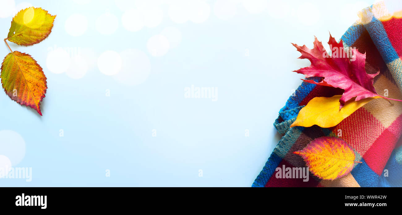 autumn background, thanksgiving holiday composition Stock Photo - Alamy