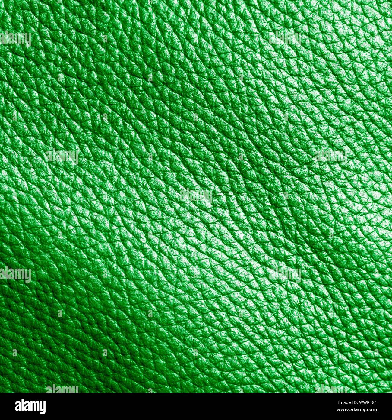 Color leather texture closeup. Useful as background for design-works ...