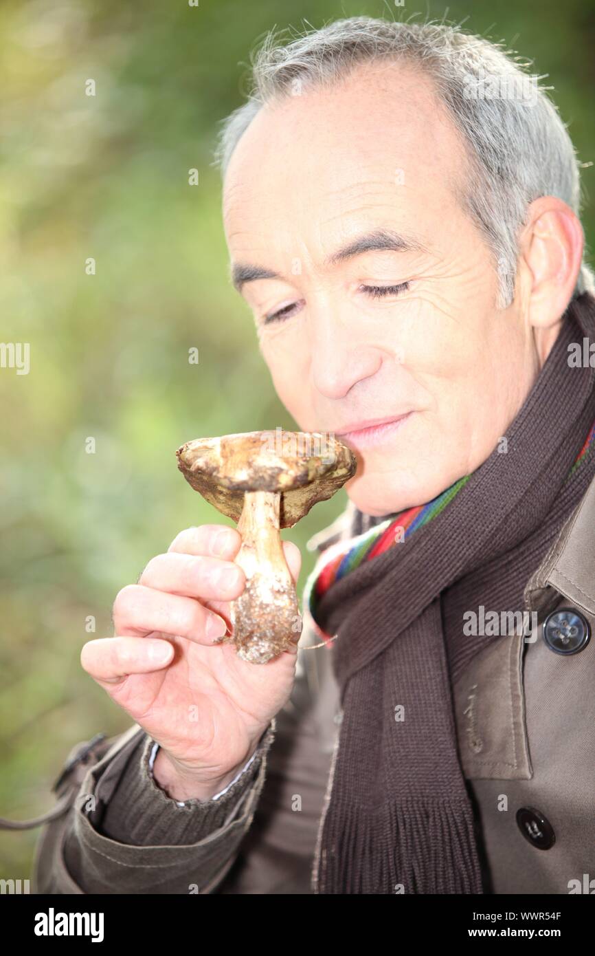 Scarf mushroom hi-res stock photography and images - Alamy