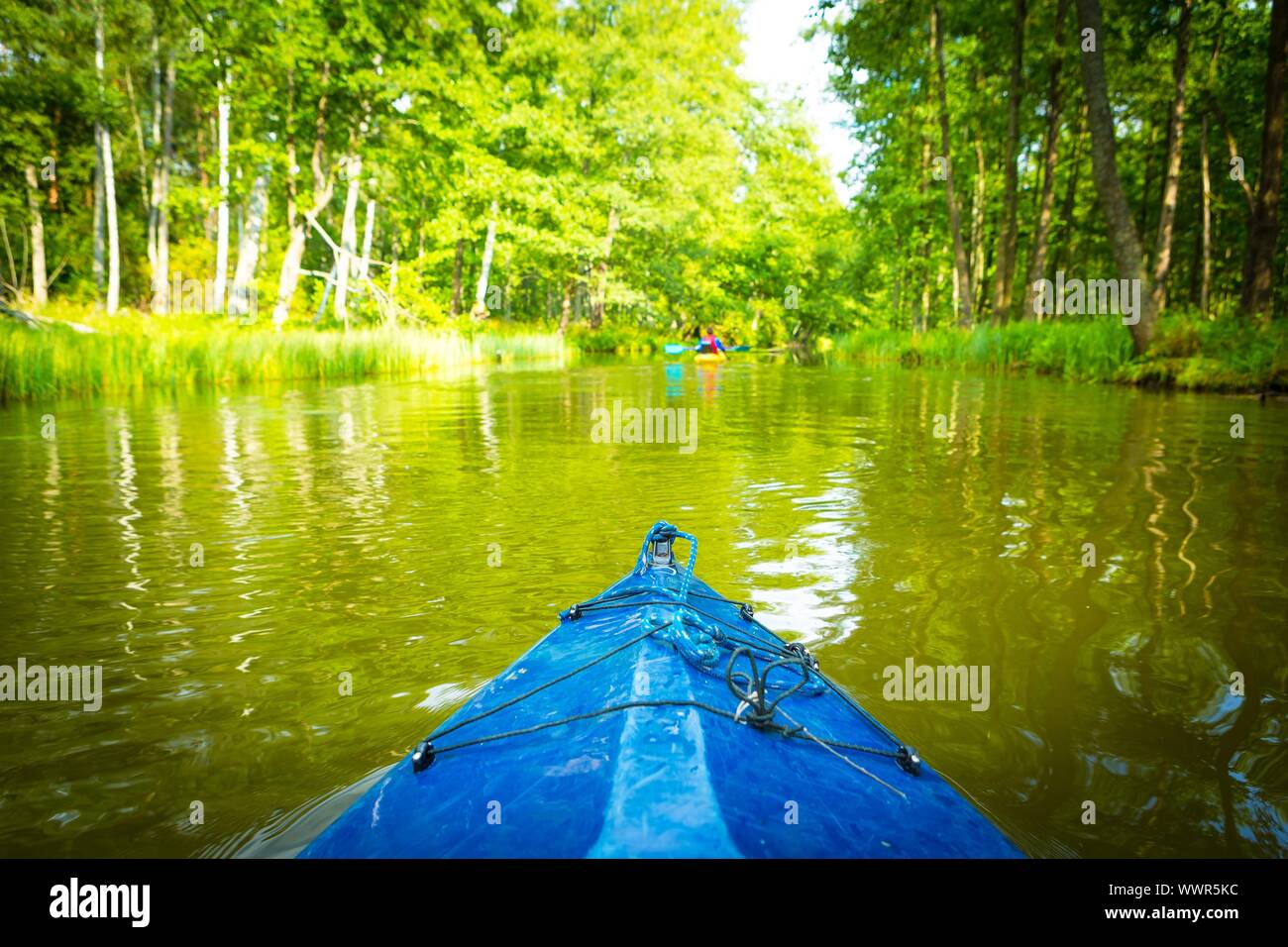 Kayaking by wild river in forest in poland (Omulew river near Nidzica ...