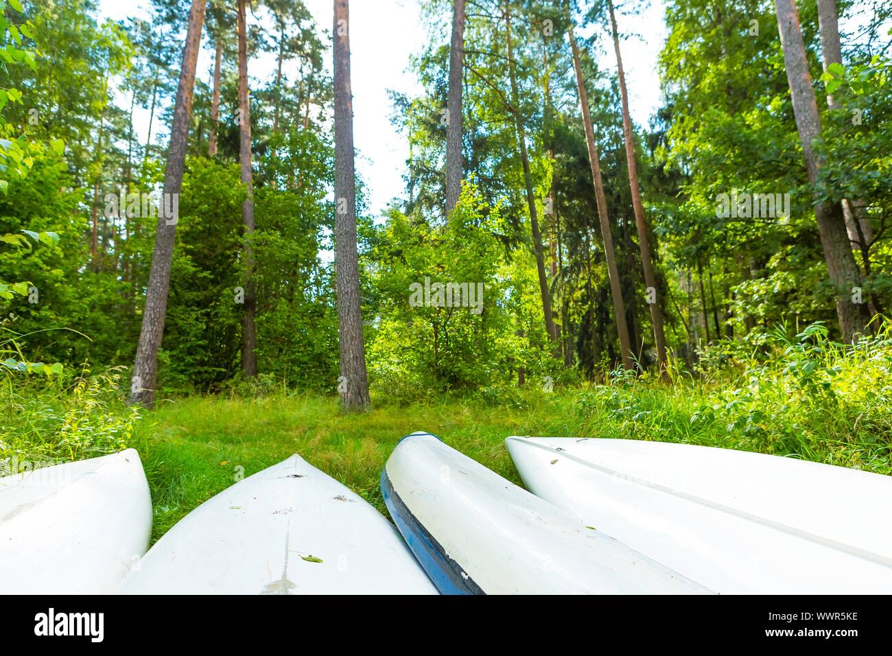 Summer forest landscape with overturned kayaks lying on ground ...