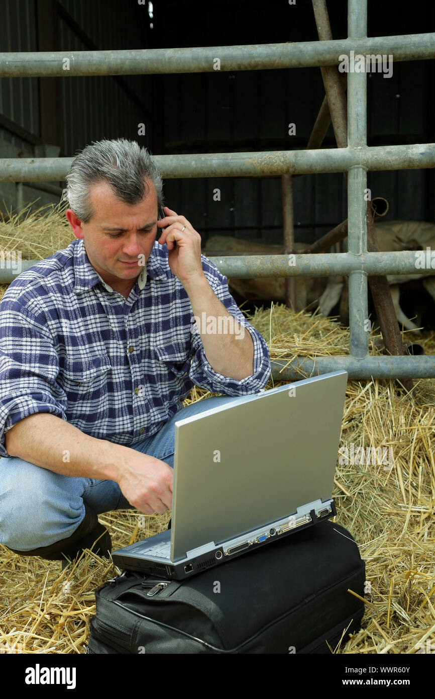 Farmer in a barn with his laptop Stock Photo - Alamy
