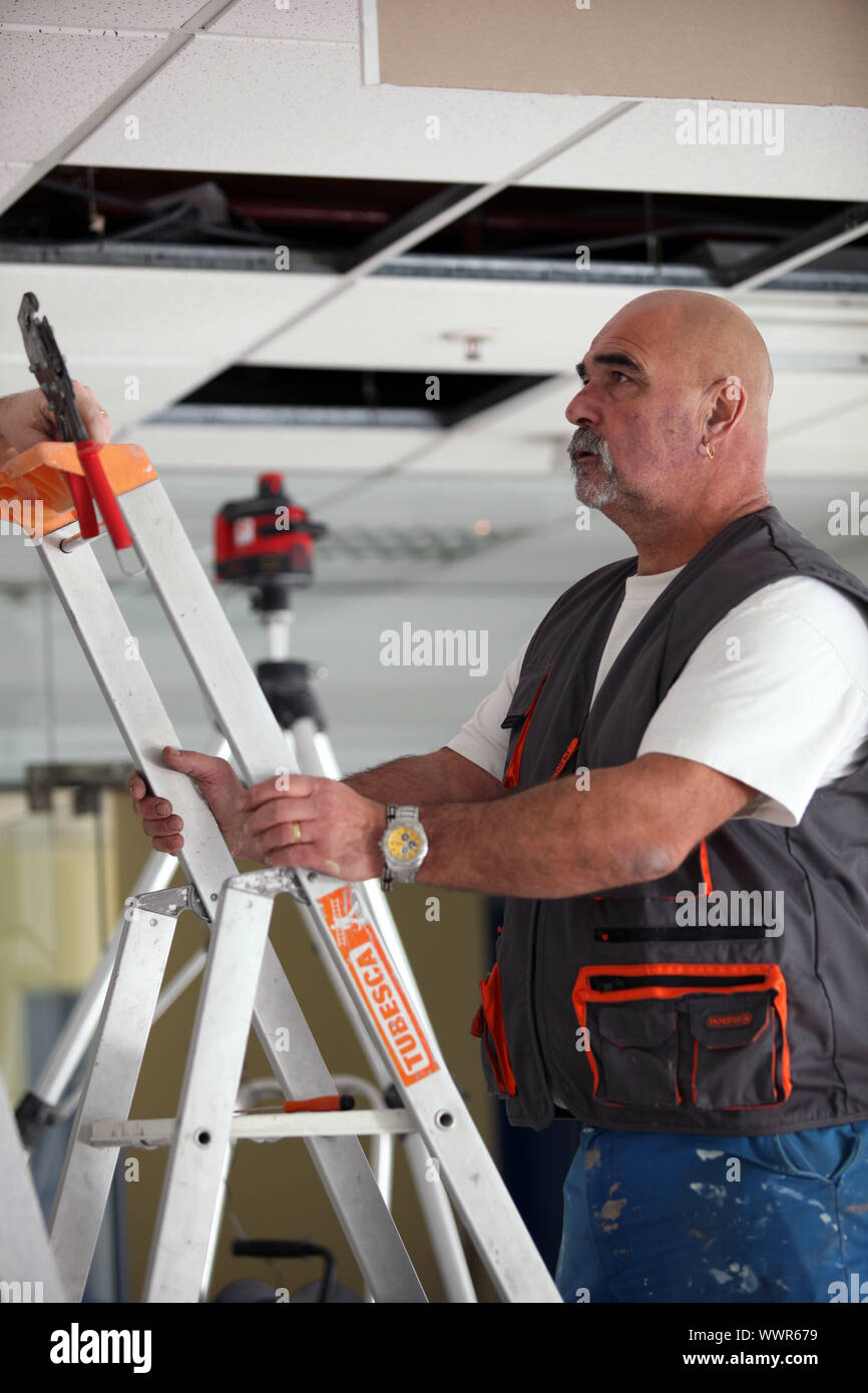 Building professional working on a suspended ceiling Stock Photo - Alamy