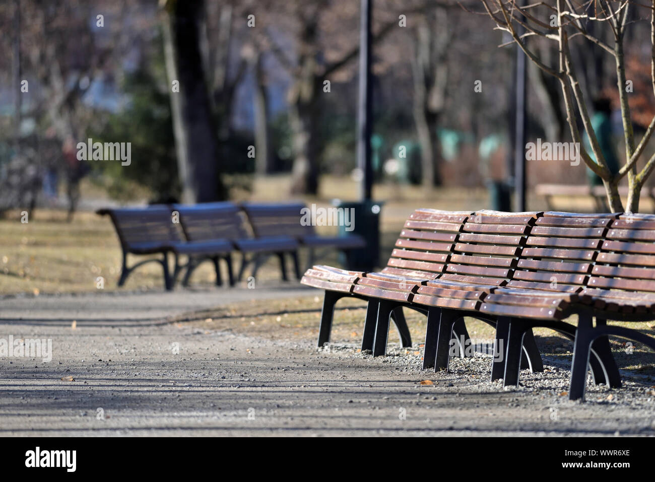 A park bench at a beutifull park, spring time Stock Photo - Alamy