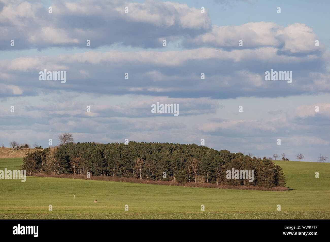 Landscape field with forest Stock Photo - Alamy