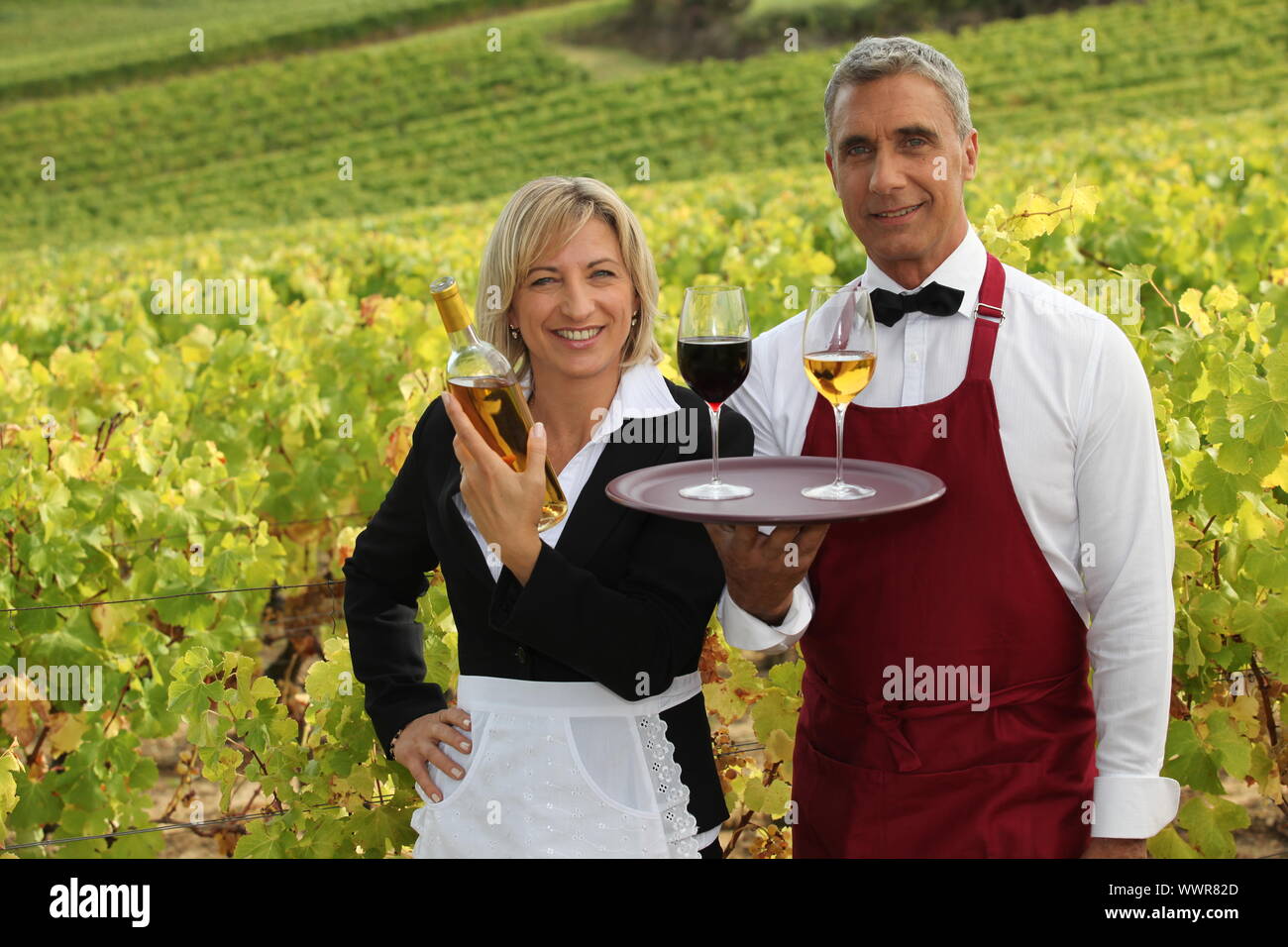 Wine tasting in a vineyard Stock Photo - Alamy