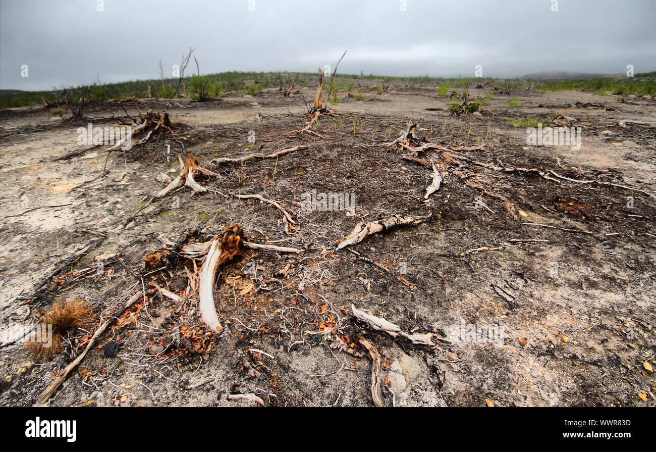 Destroyed man arctic tundra hi-res stock photography and images - Alamy