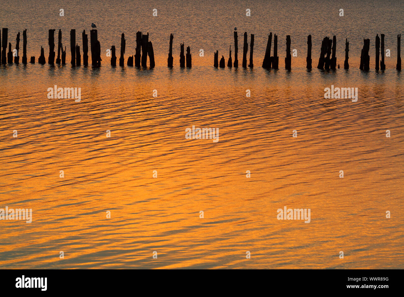 Jasmund bodden hi-res stock photography and images - Alamy