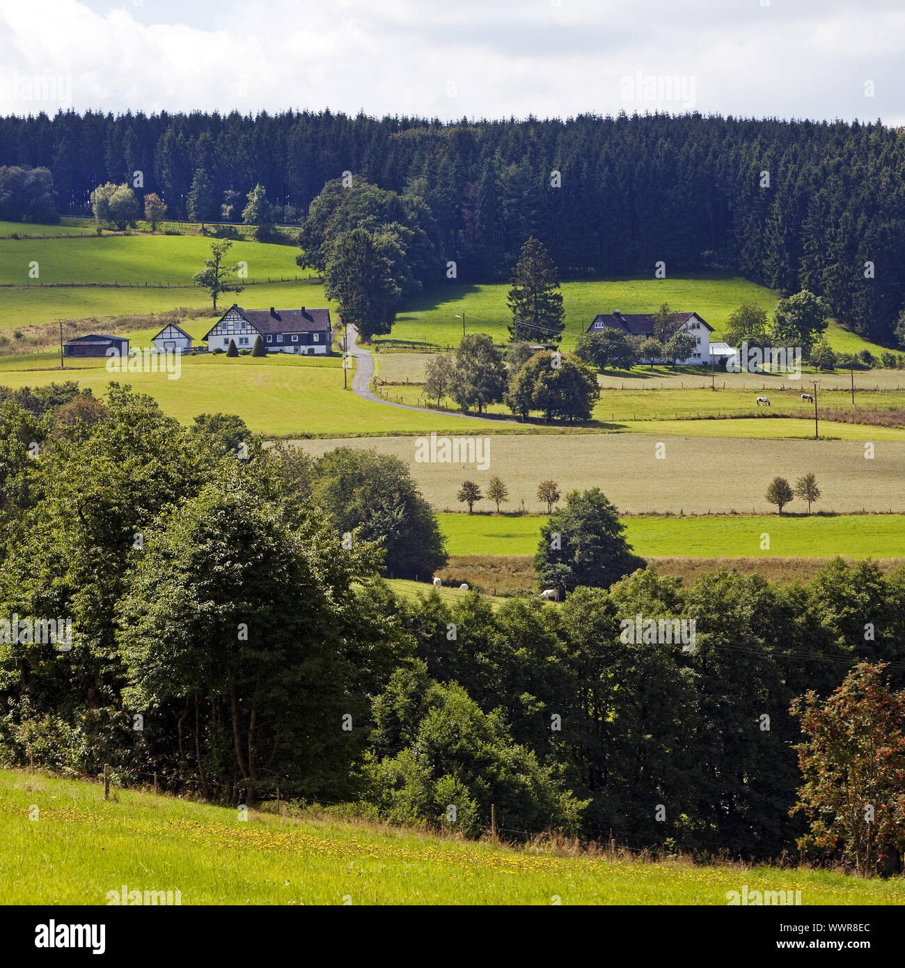 landscape at Sassenhausen, Bad Berleburg, Siegerland, North Rhine ...