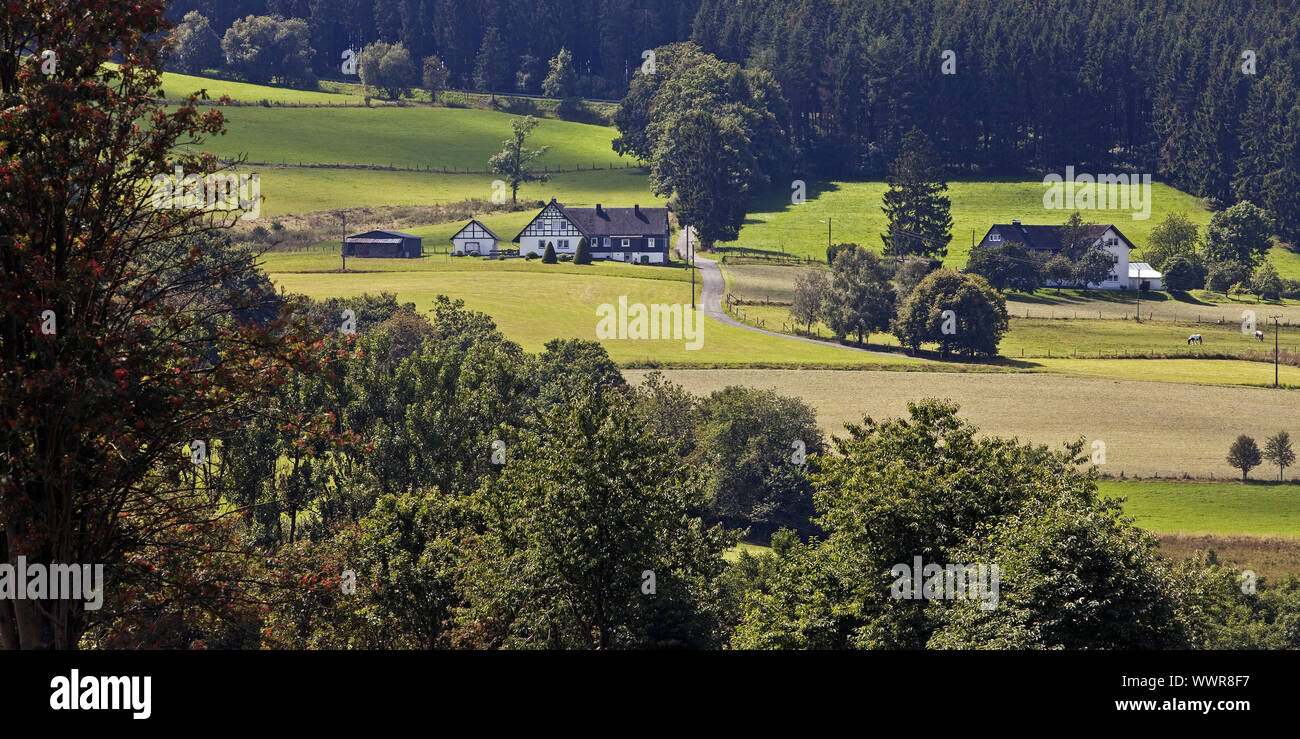 landscape at Sassenhausen, Bad Berleburg, Siegerland, North Rhine ...