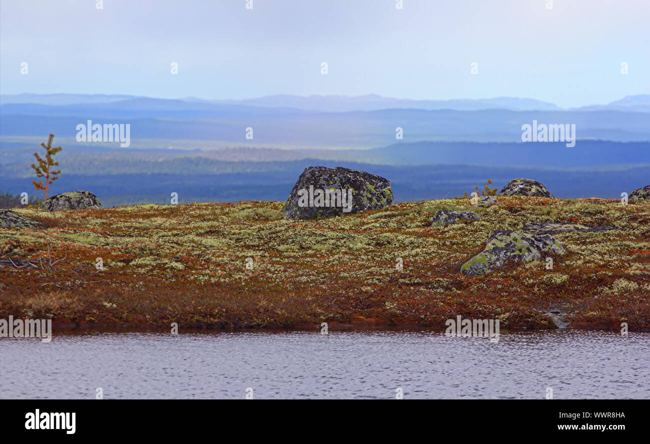 open spaces of polar region in spring Stock Photo - Alamy