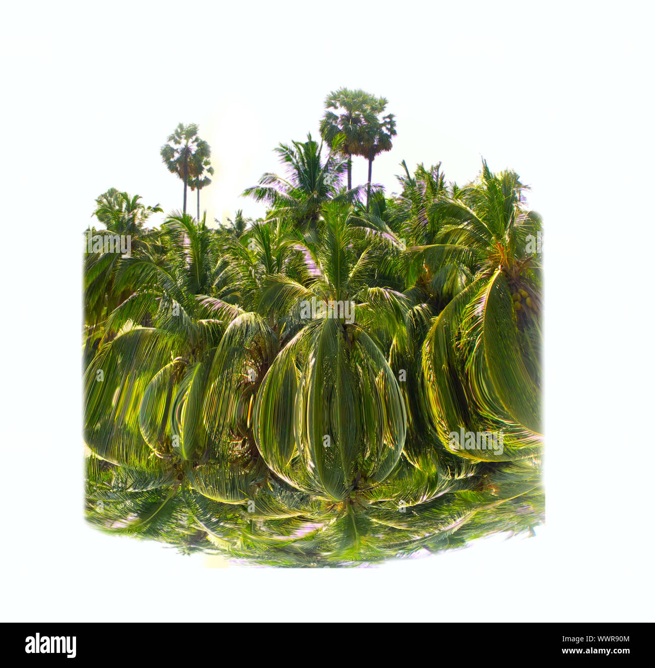 Well maintained Cut Out Stock Images & Pictures - Alamy