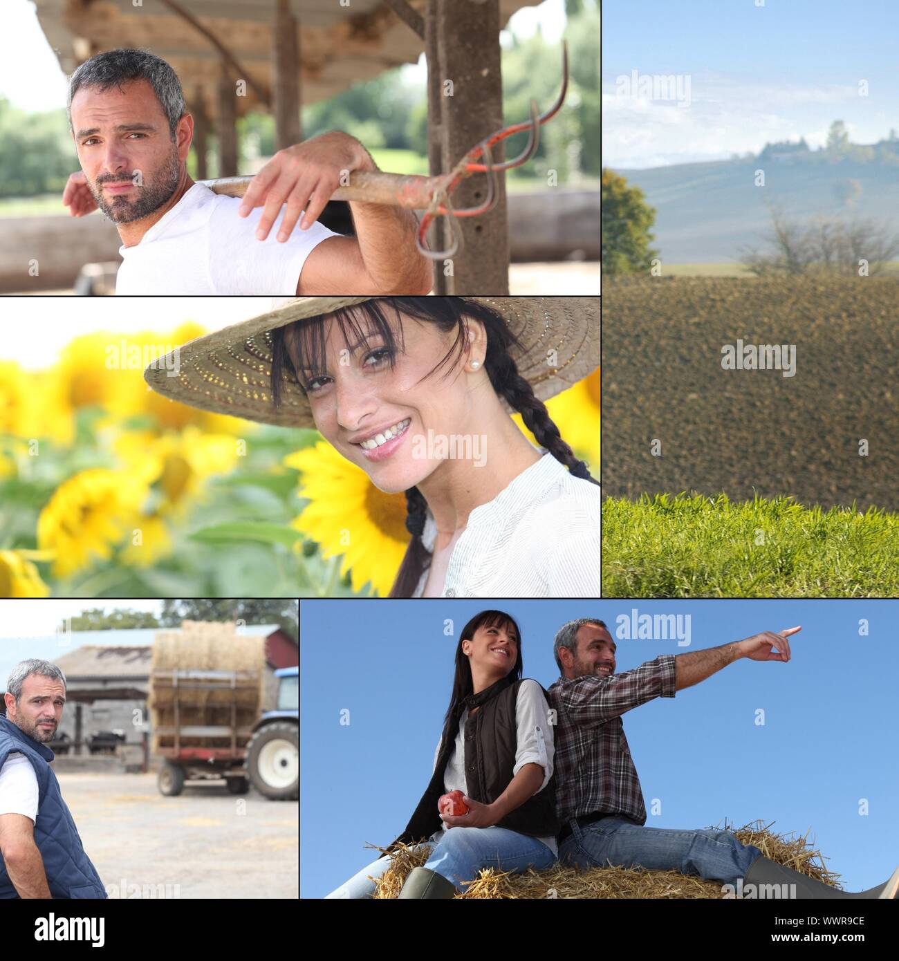 Farm work collage hi-res stock photography and images - Alamy