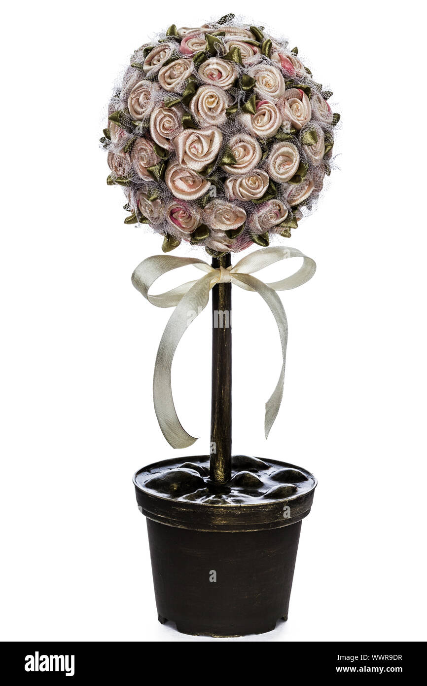 Topiary tree, tree of happiness, decorative tree, isolated on white ...