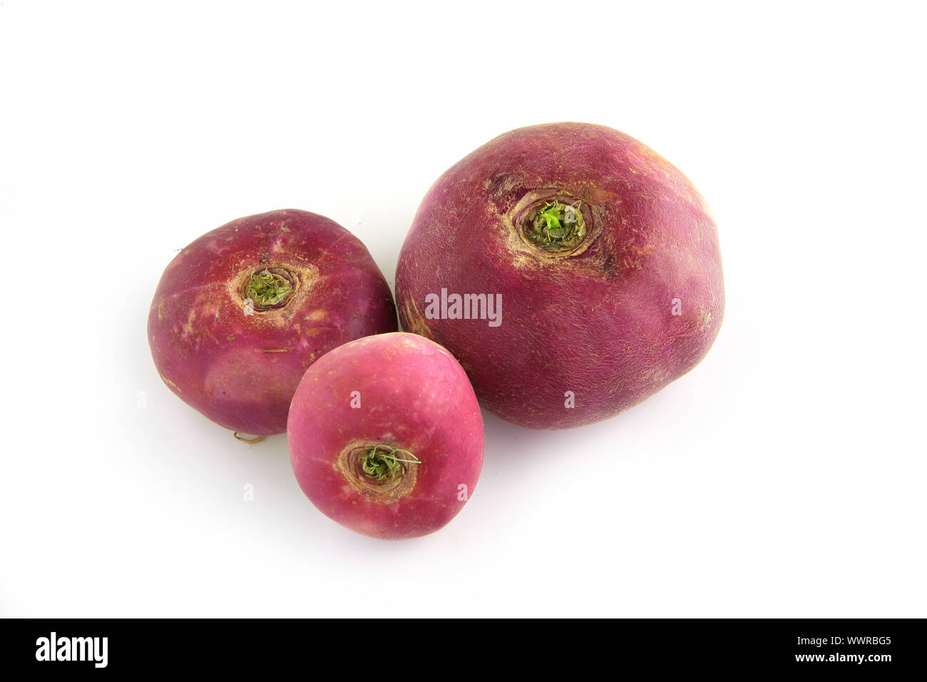 Three purple turnips Stock Photo - Alamy