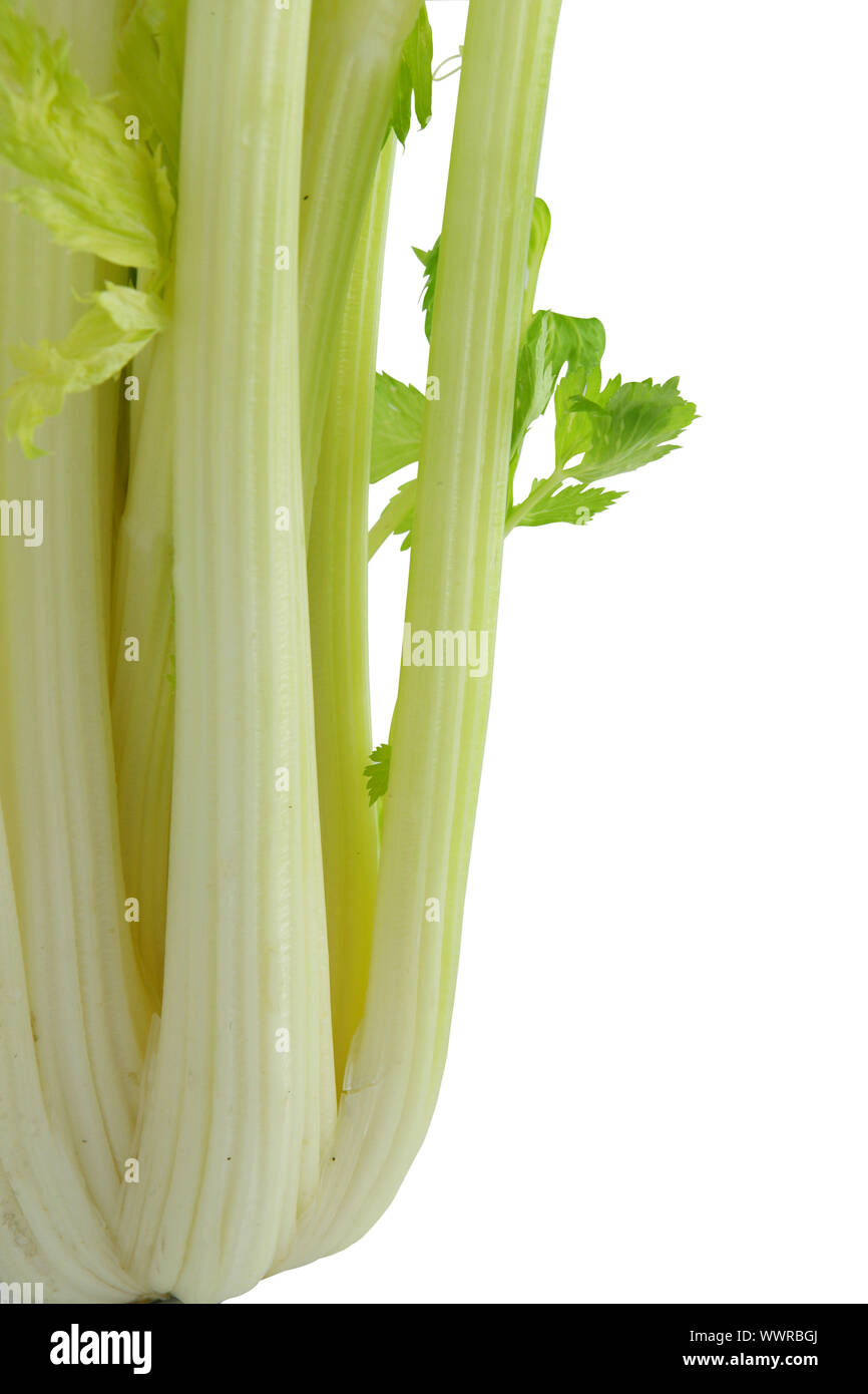 Celery whole uncut fresh hi-res stock photography and images - Alamy