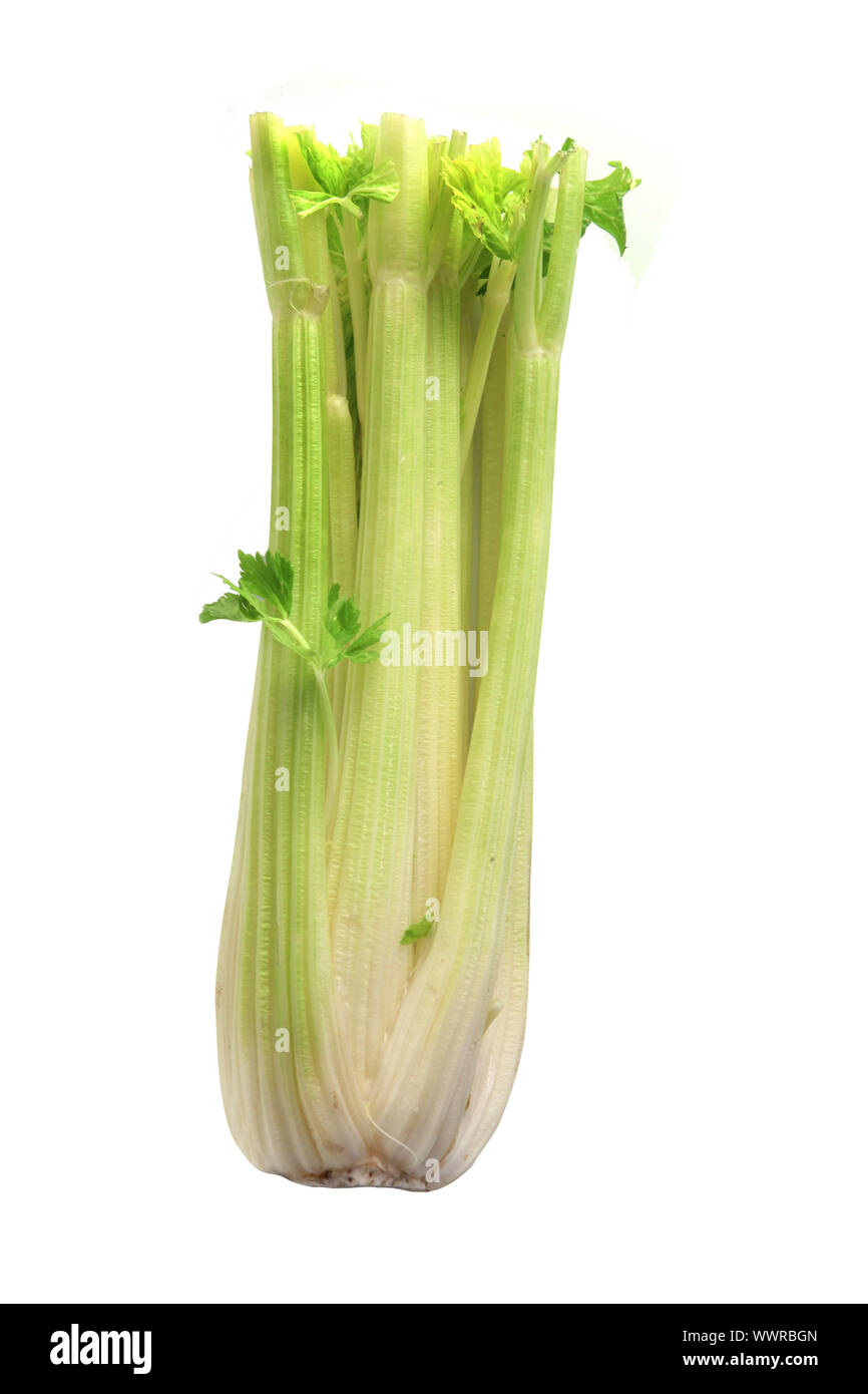 Celery ribs hi-res stock photography and images - Alamy
