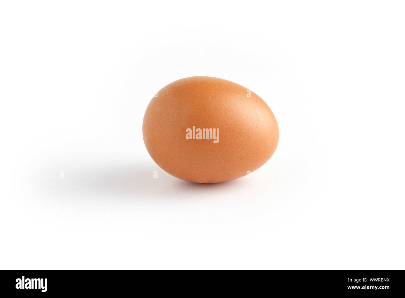 Single egg on white background Stock Photo - Alamy