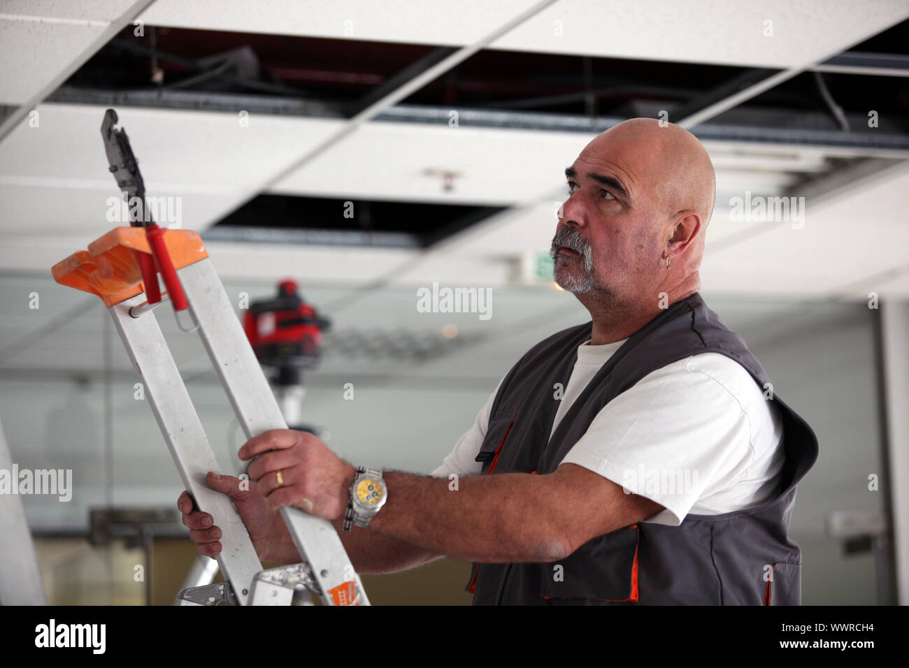 Man moving a ladder Stock Photo - Alamy