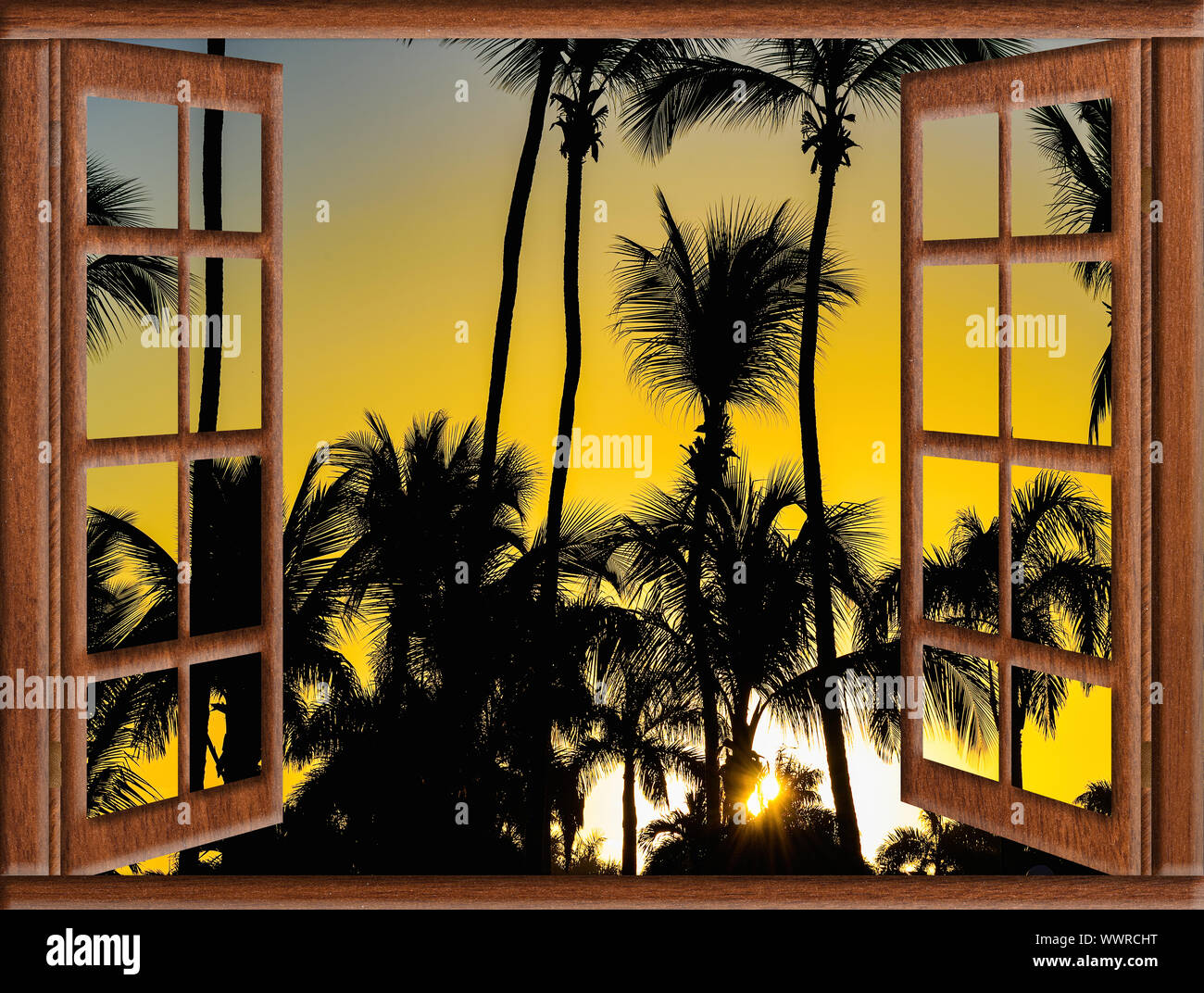 Palm tree view from room hi-res stock photography and images - Alamy