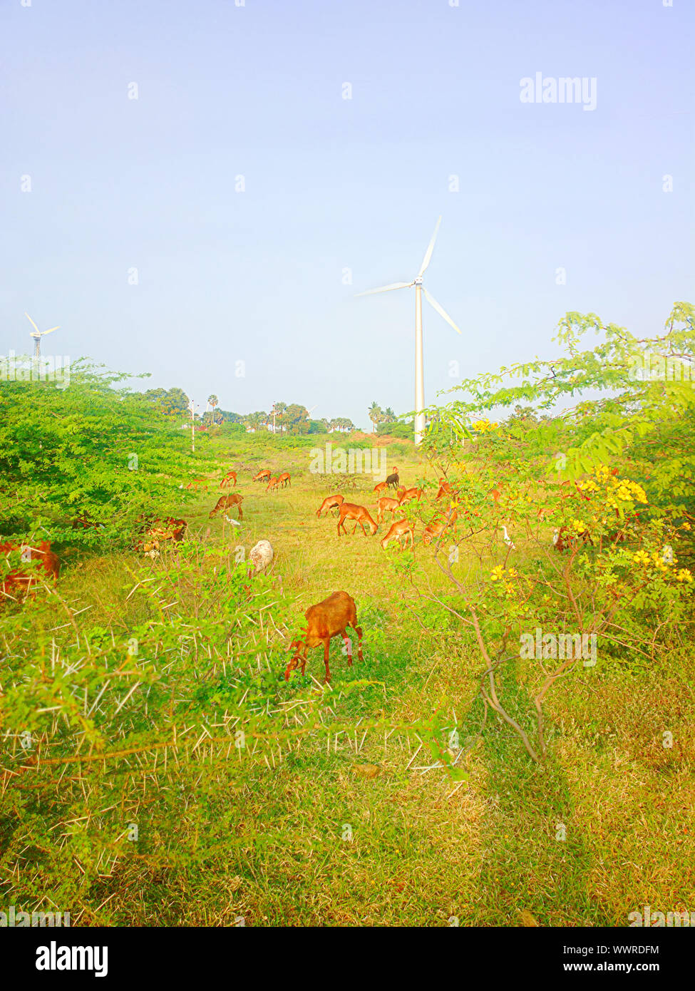 Colorful modern rustic idyll (pastoral) in India Wind farm Stock Photo ...