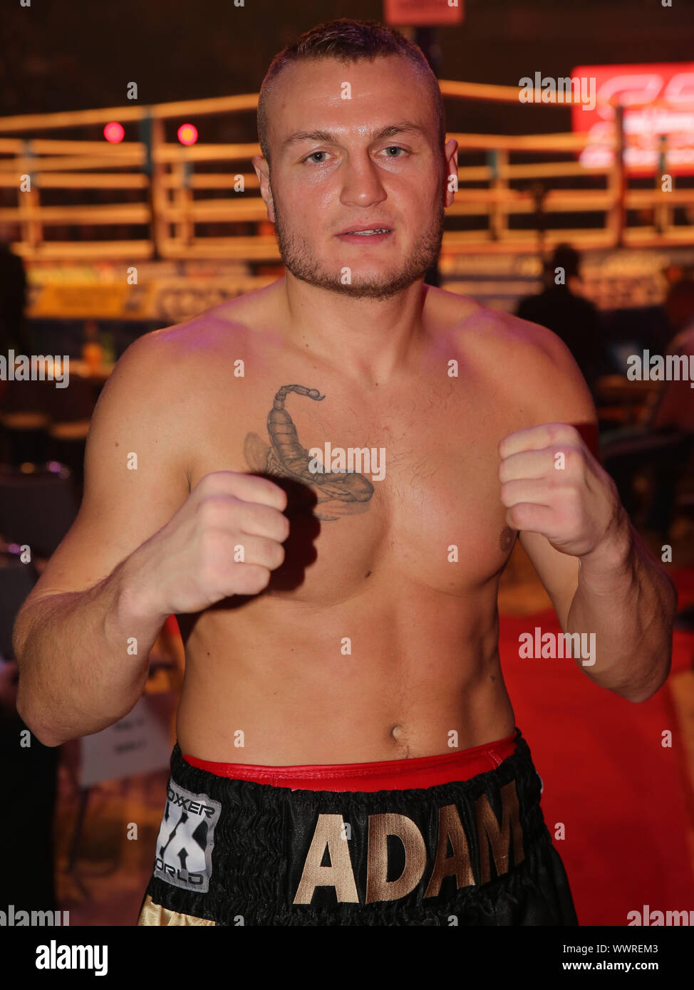 Semi heavyweight hi-res stock photography and images - Alamy