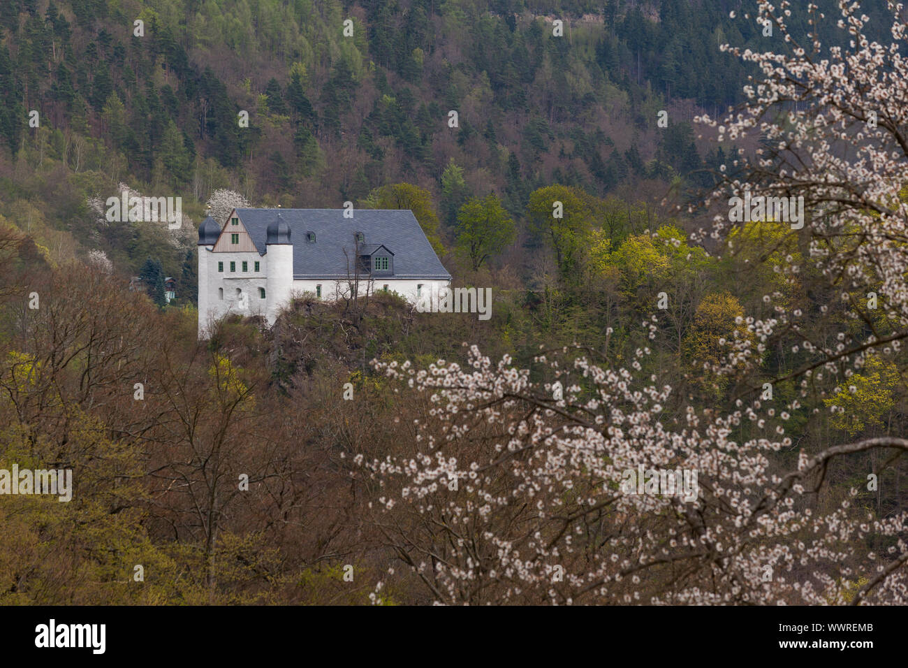 Thuringian forests hi-res stock photography and images - Alamy