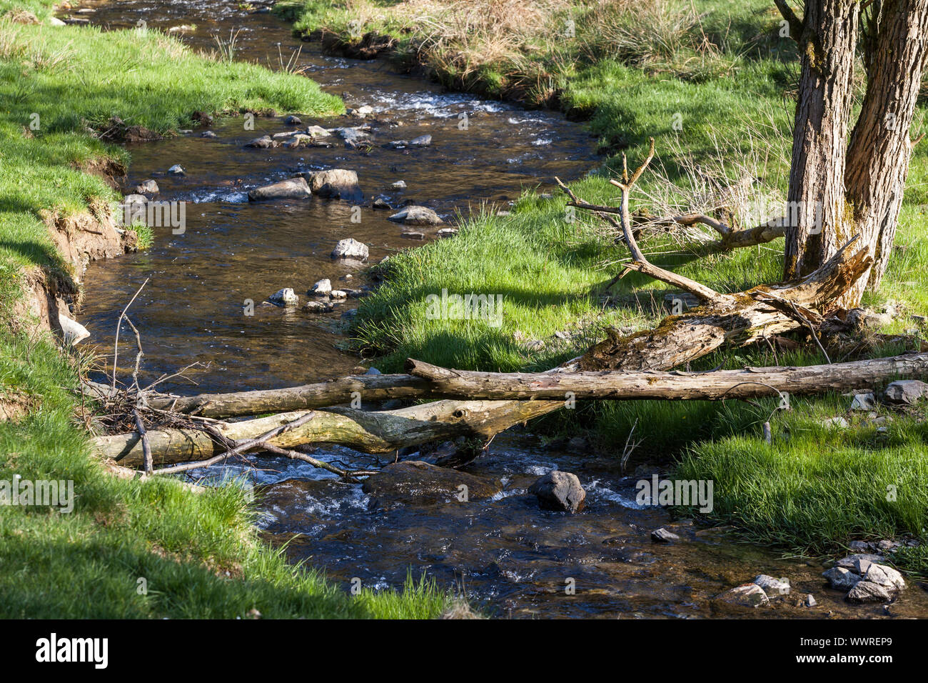 Natural brook watercourse hi-res stock photography and images - Alamy