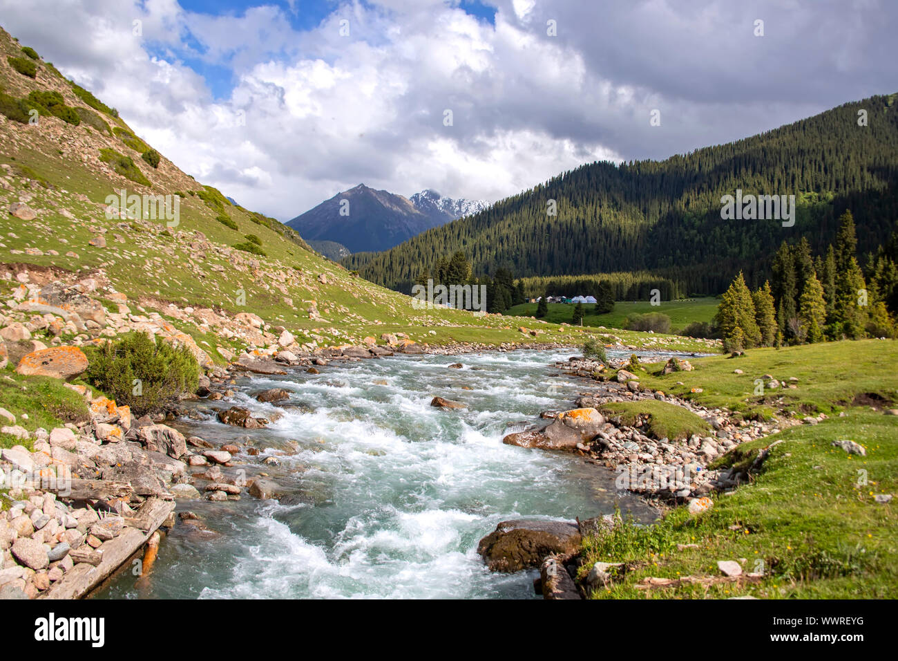 Mountain river between hills covered with coniferous forest against a ...