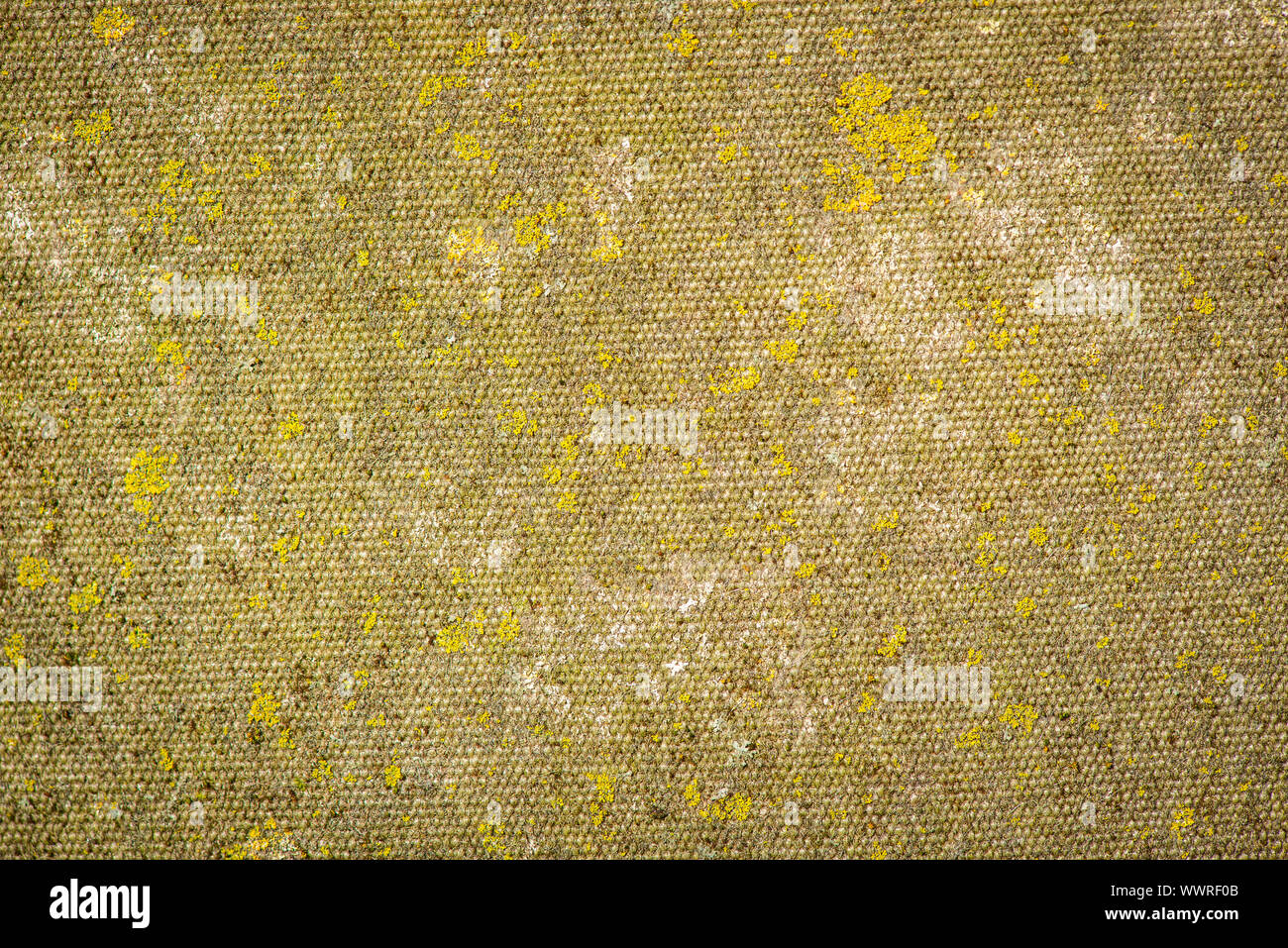 lichen on the cloth - textures and backgrounds Stock Photo - Alamy