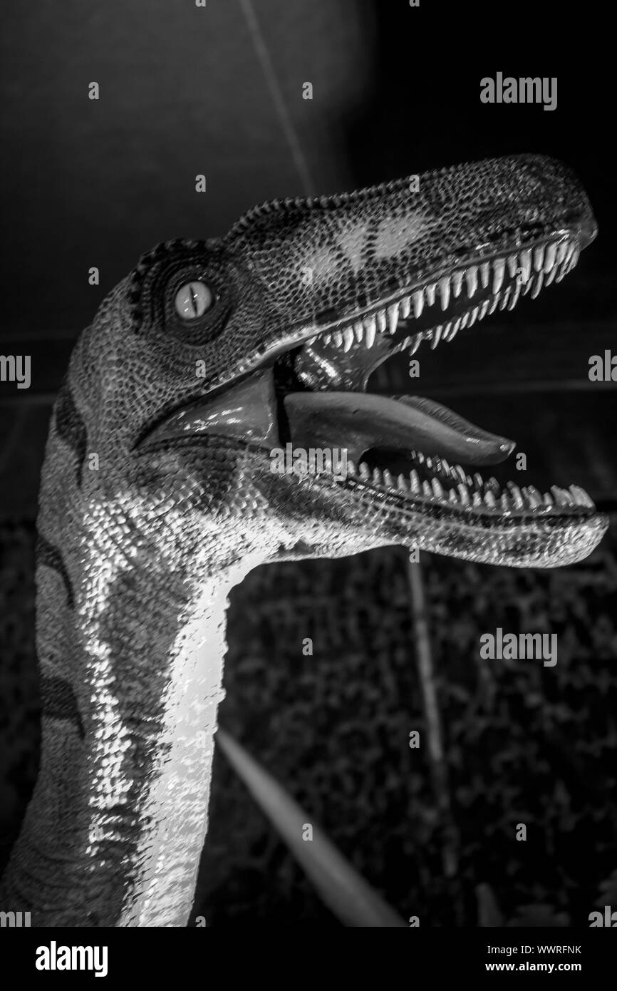 Tyrannosaurus rex, strong jaw full of sharp and dangerous teeth ...