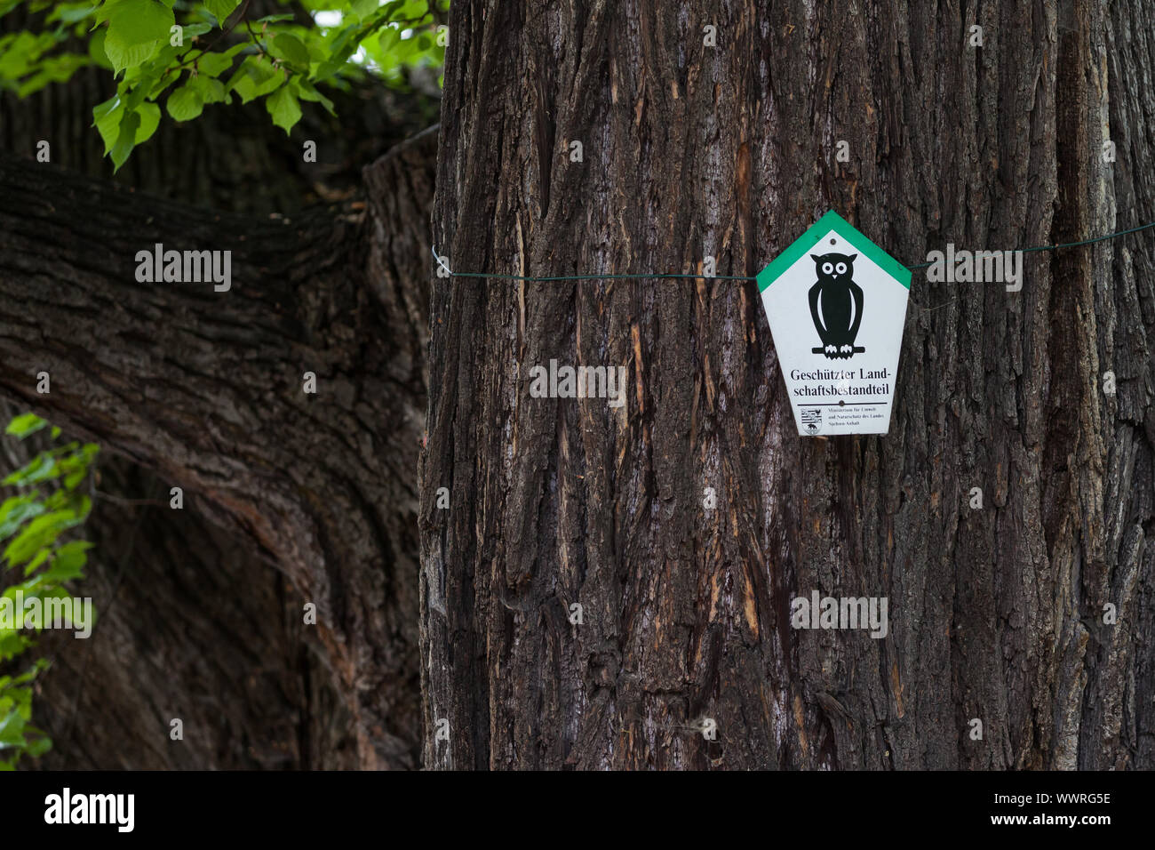 Trunk protection hi-res stock photography and images - Alamy