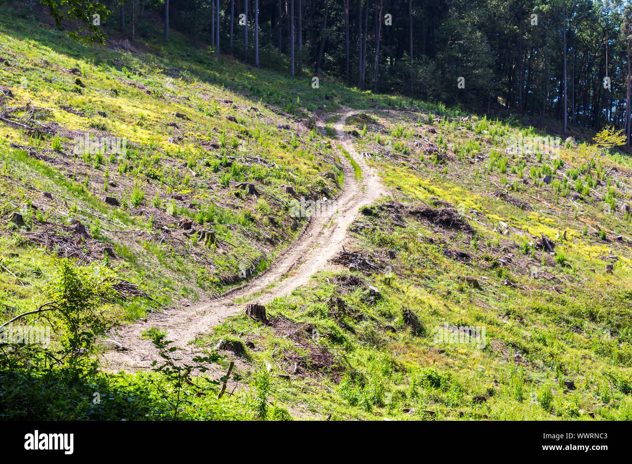 Winding Footpath High Resolution Stock Photography and Images - Alamy