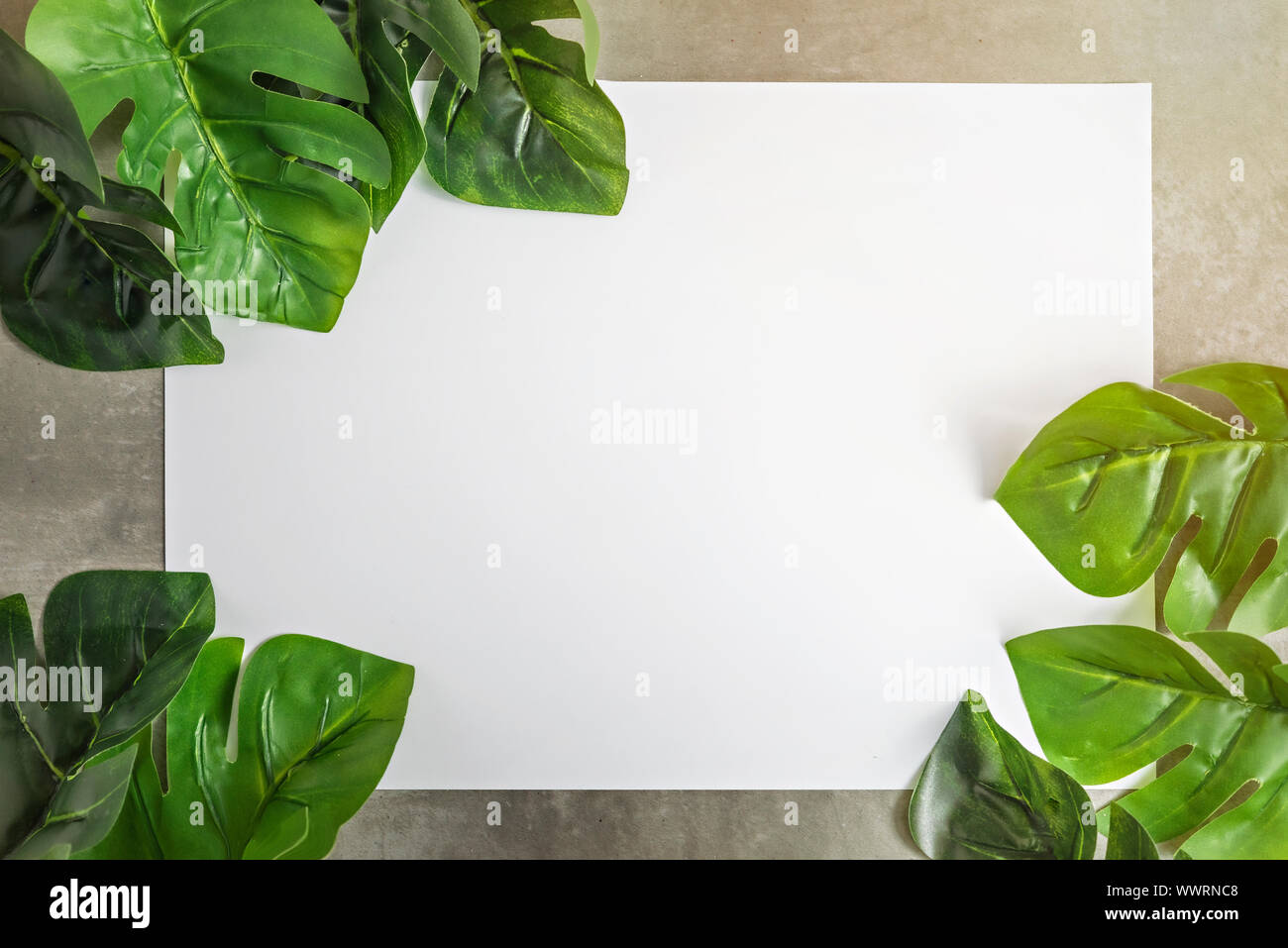 Sheet papaer hi-res stock photography and images - Alamy