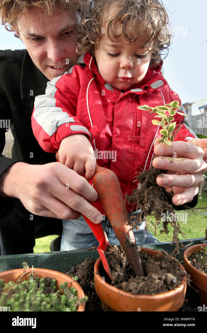 Father and son planting seedlings Stock Photo - Alamy